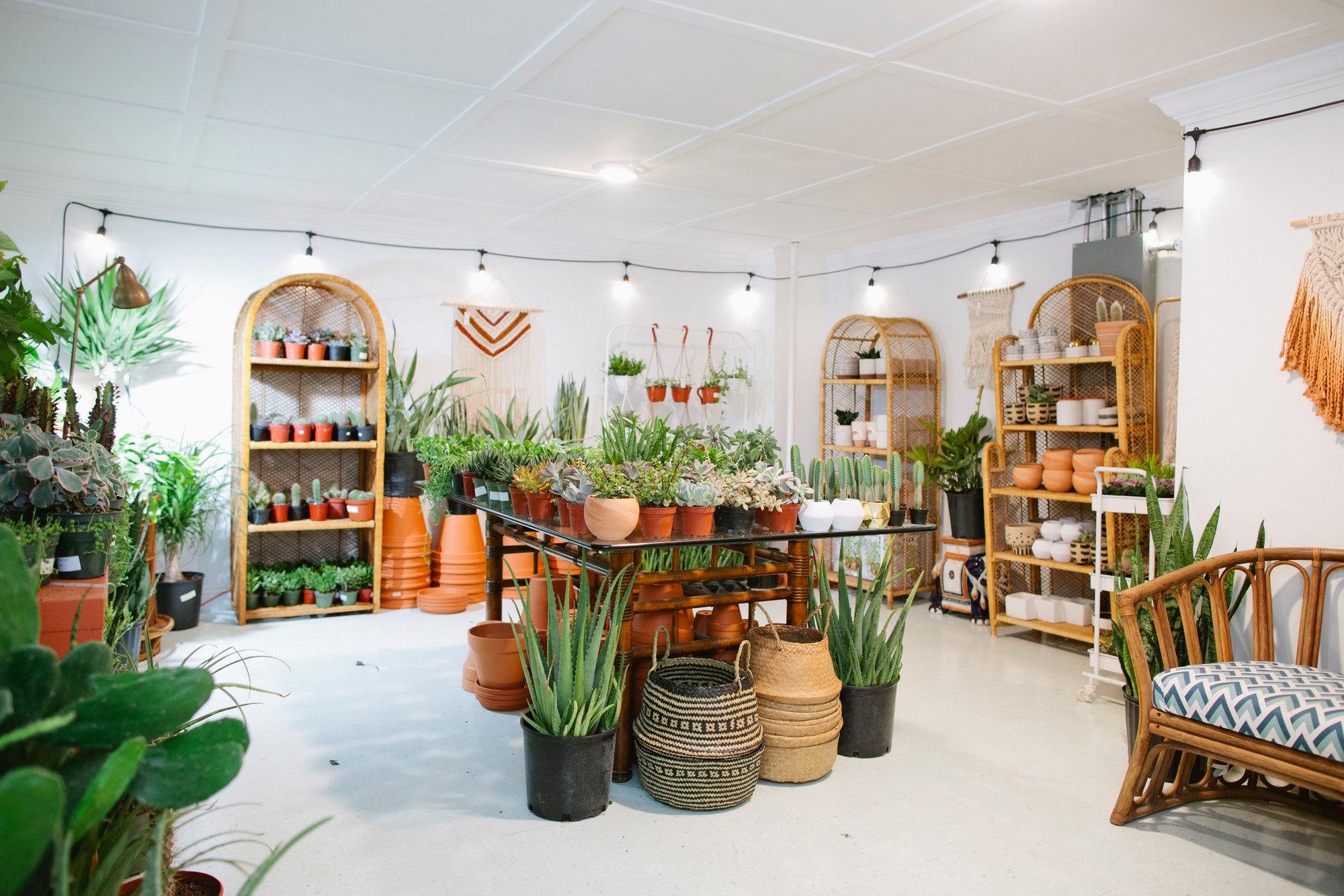 Come shop with us! – Botanica